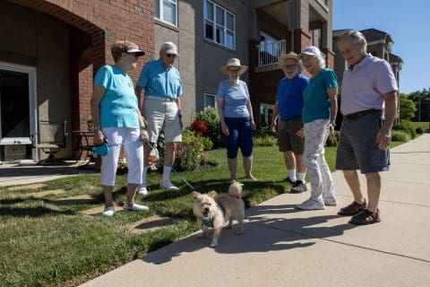 Gallery - Peter Becker Community